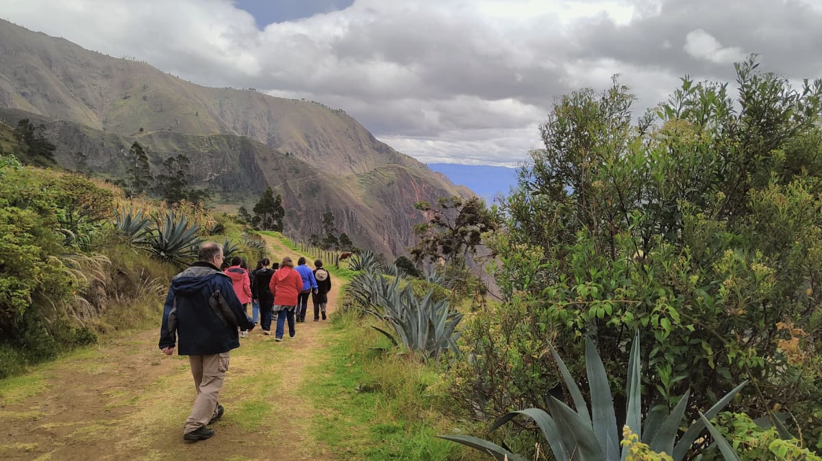 Vive Ecuador: Turismo Comunitario en los Andes y la Amazonia