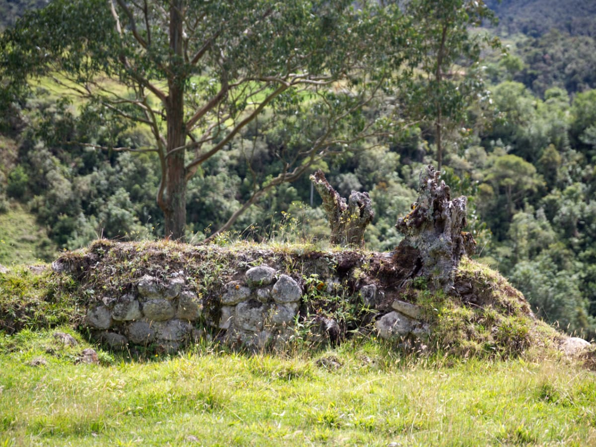 Saraguro Ancestral and Natural: Qhapac Ñan and Oñacapac | Saraurku
